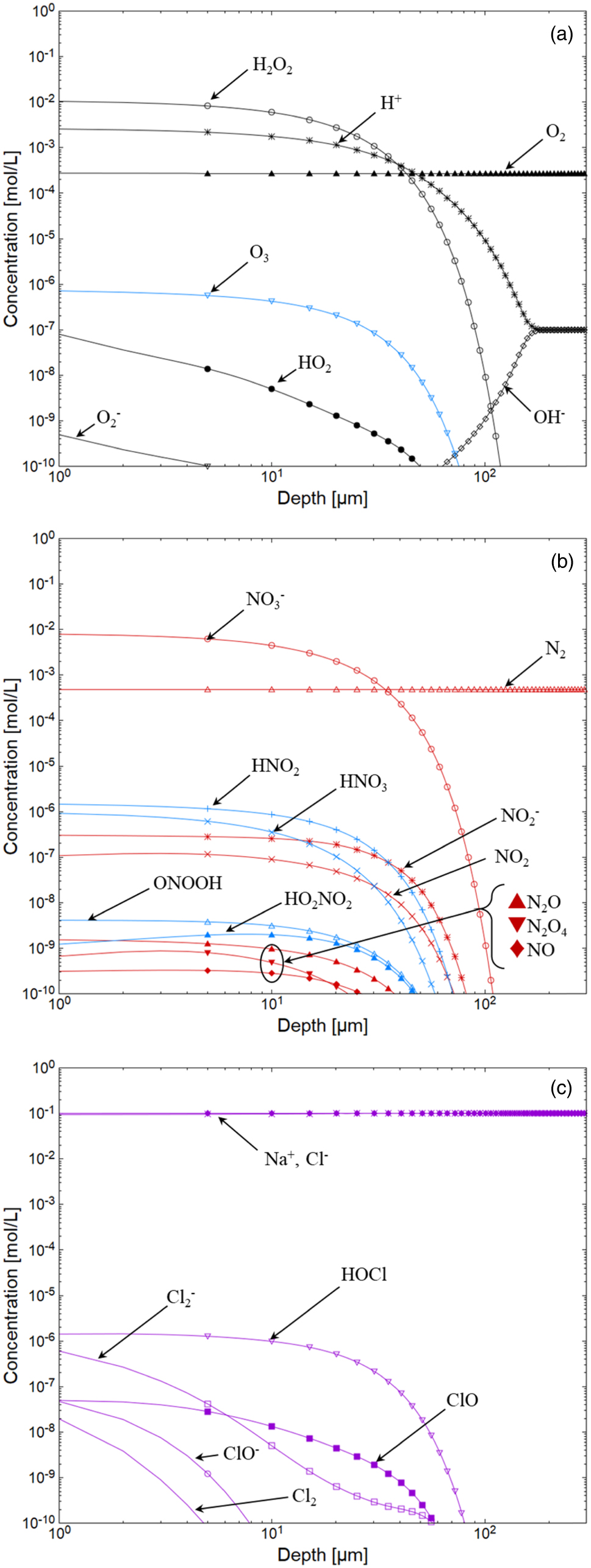 Roles of the reaction boundary layer and long diffusion of stable ...