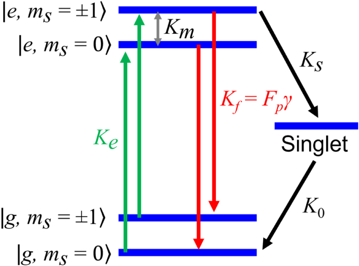 Design of an ultra-sensitive and miniaturized diamond NV magnetometer ...