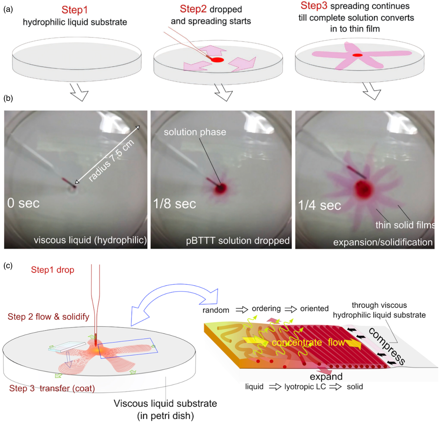 Recent progress in the macroscopic orientation of semiconducting ...