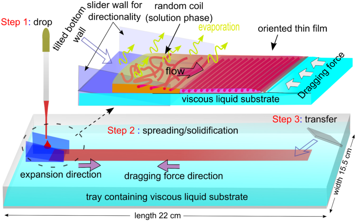 Recent progress in the macroscopic orientation of semiconducting ...