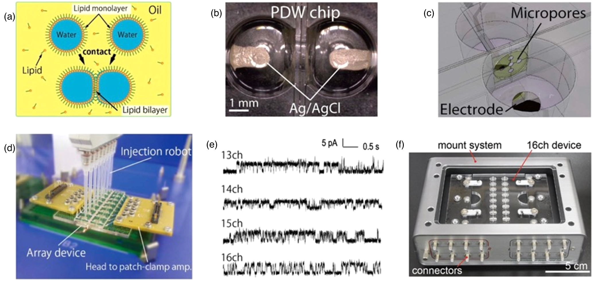 Lipid bilayer platforms for parallel ion channel recordings - IOPscience