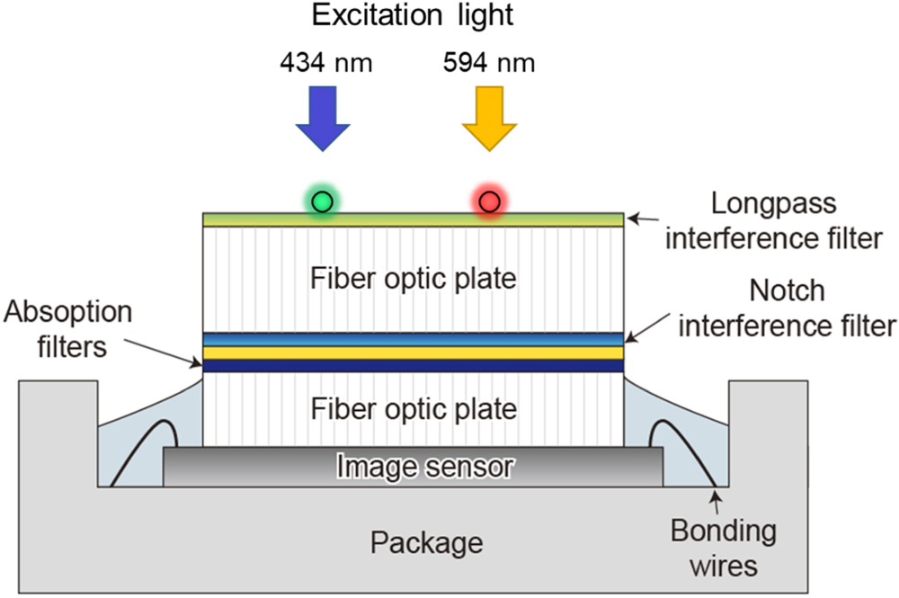 Lensless dual-color fluorescence imaging device using hybrid filter ...