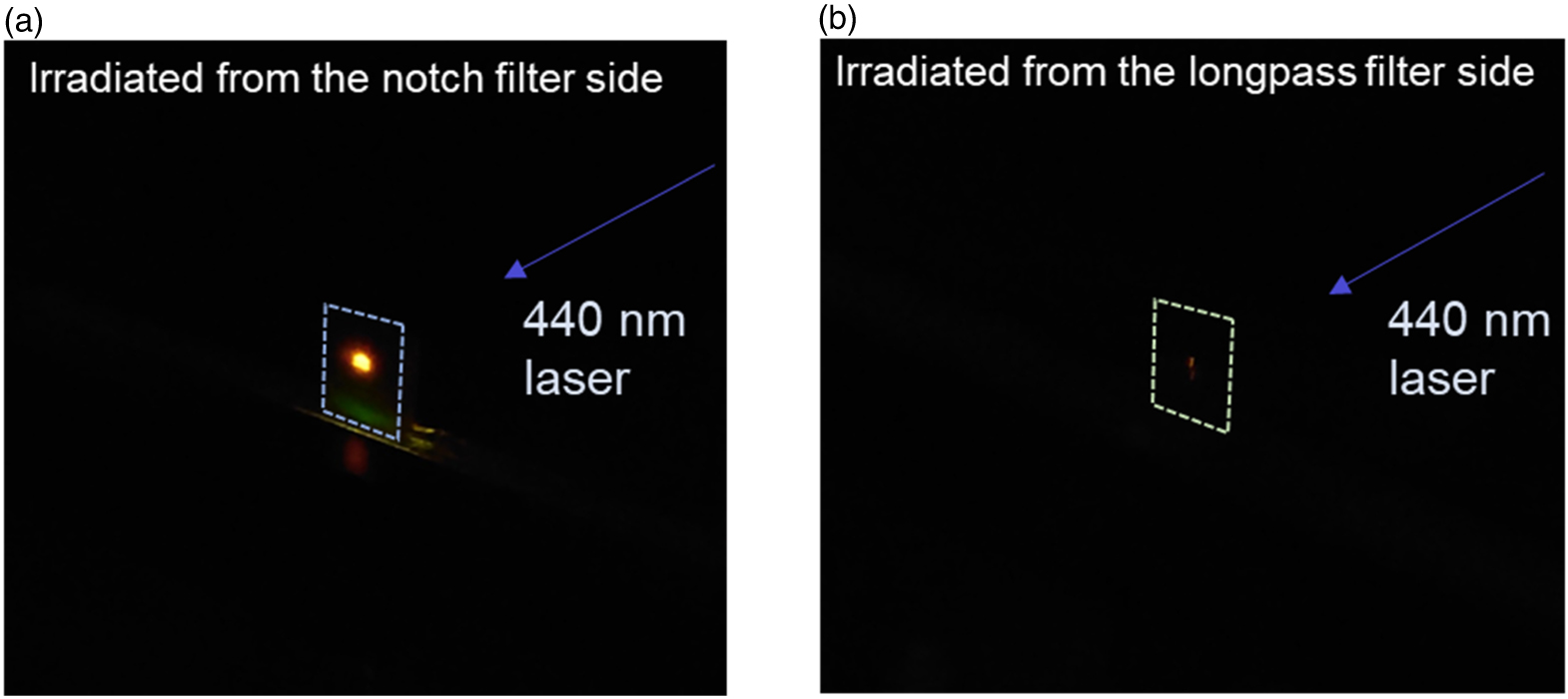 Lensless dual-color fluorescence imaging device using hybrid filter ...