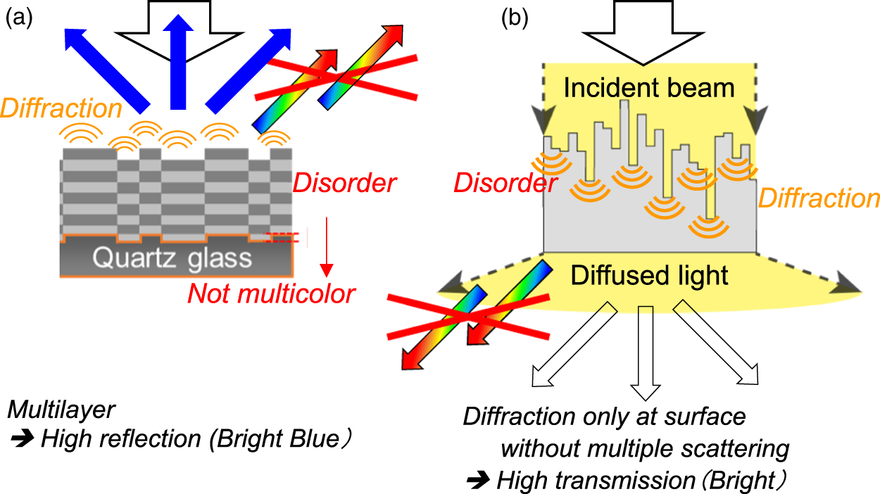 Novel optical applications inspired by the Morpho butterfly's ...