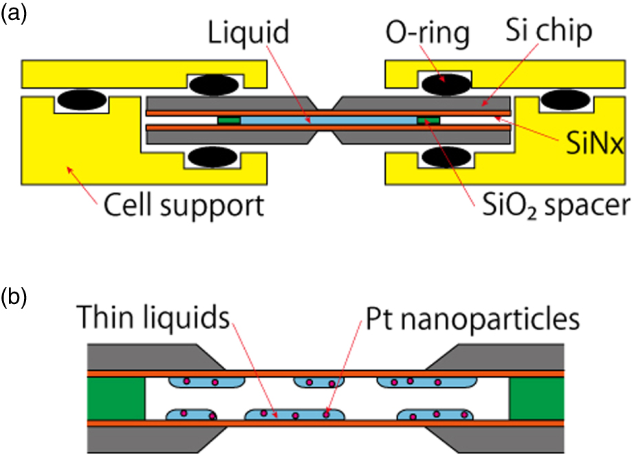 High-resolution STEM observation of the dynamics of Pt nanoparticles in ...