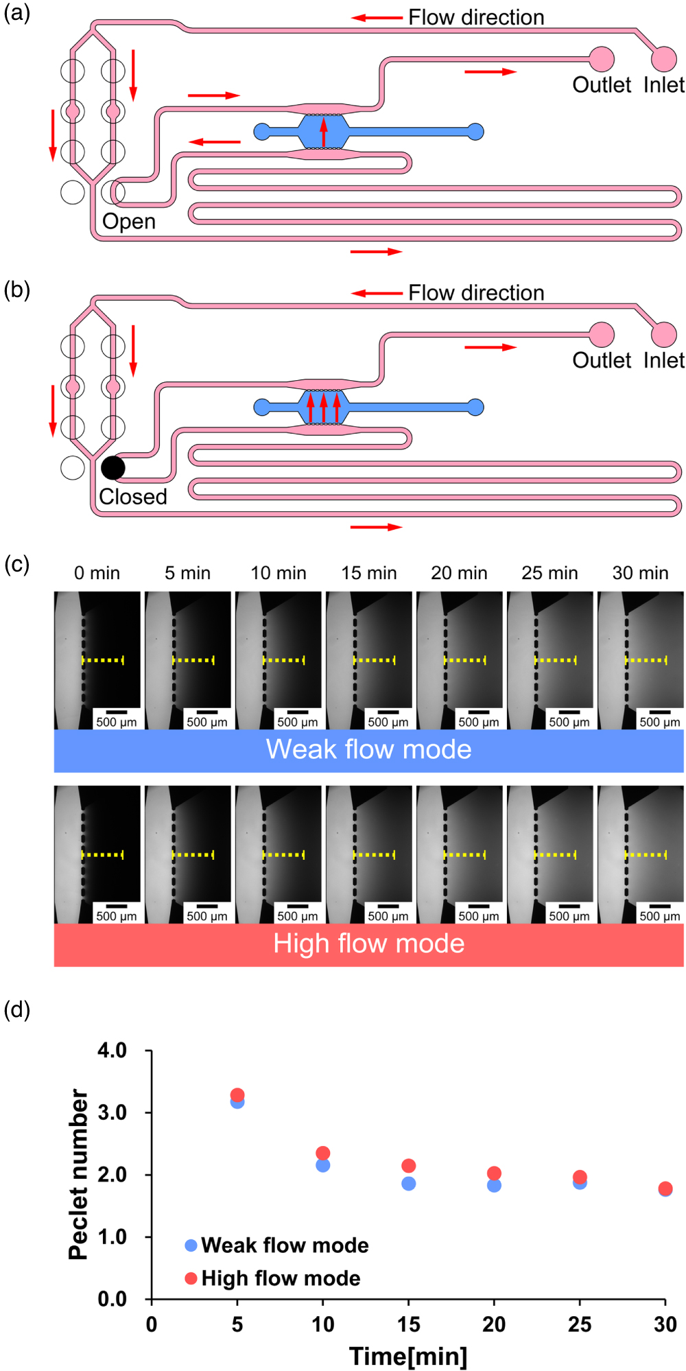 On-chip long-term perfusable microvascular network culture - IOPscience