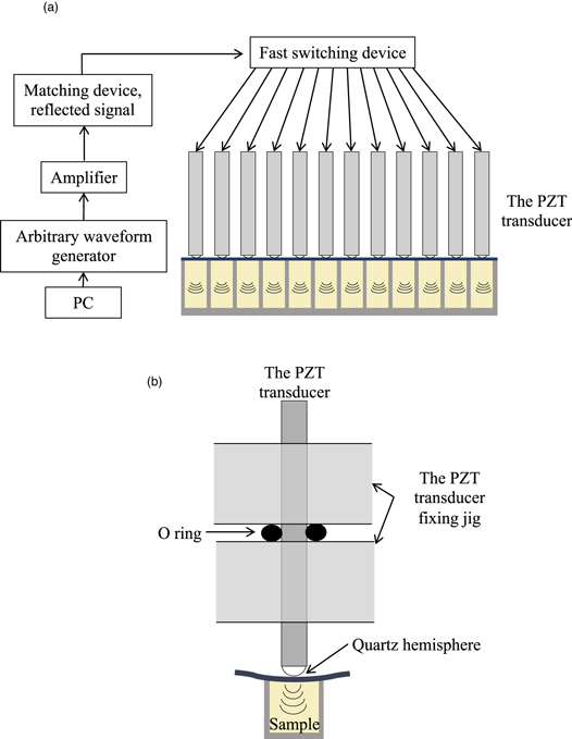 Acceleration of amyloid fibril formation by multichannel sonochemical ...