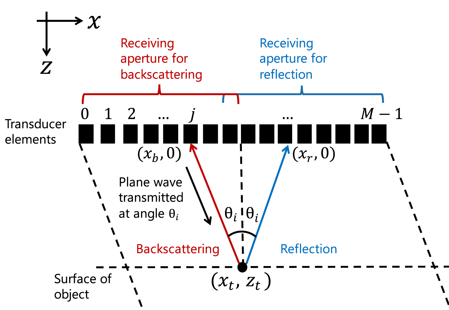 Enhancement of reflection and backscattering components by plane wave ...