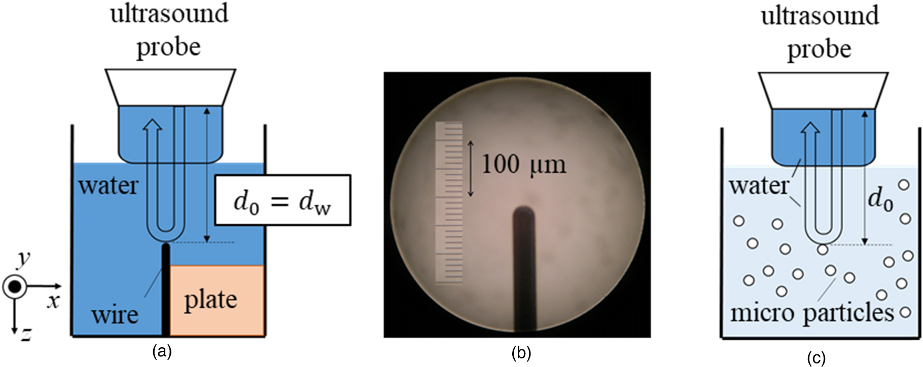 Estimation of aggregate size of red blood cell by introducing reference ...