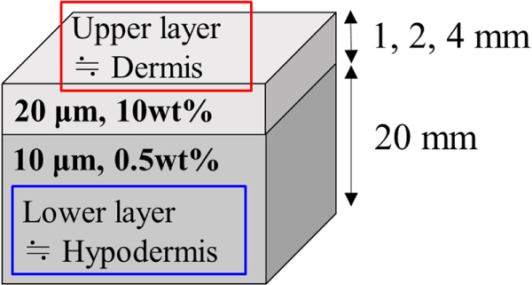 Backscatter properties of two-layer phantoms using a high-frequency ...