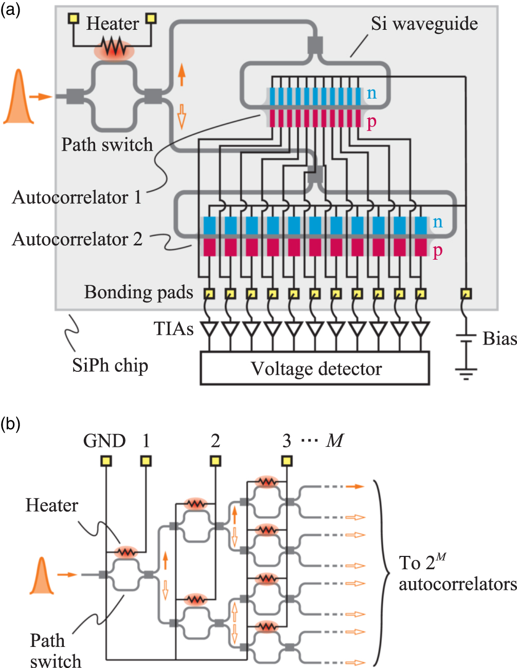 Ultracompact autocorrelator with pulse-width-range switch function ...