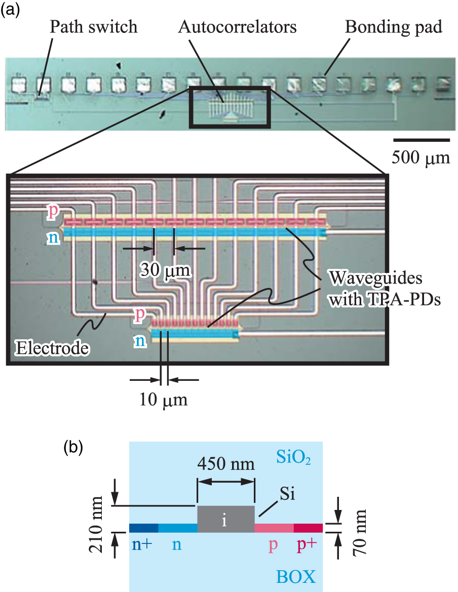 Ultracompact autocorrelator with pulse-width-range switch function ...