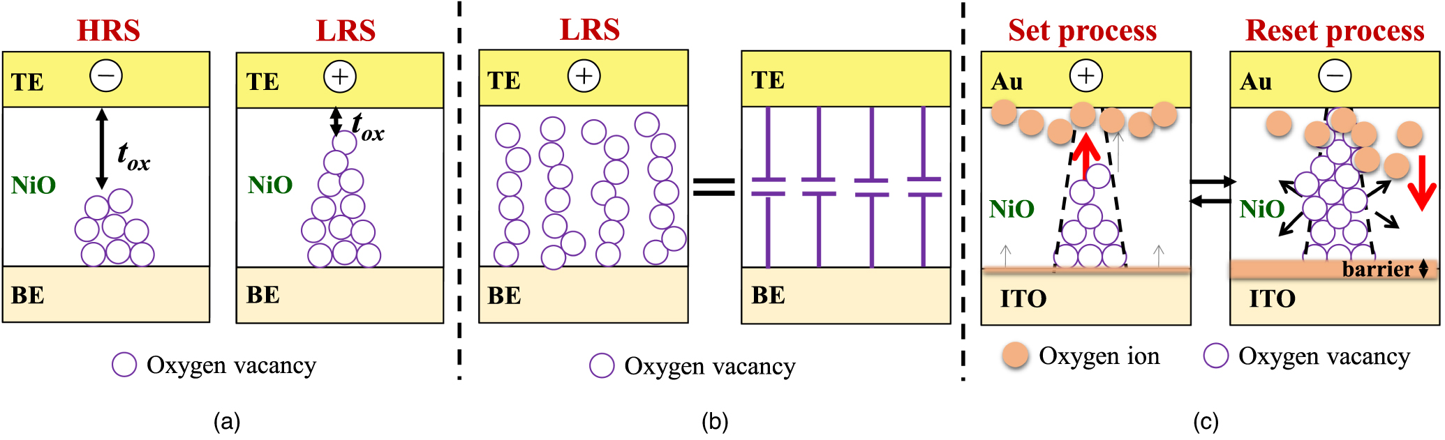 Digital and analog resistive switching in NiO-based memristor by electrode engineering - IOPscience