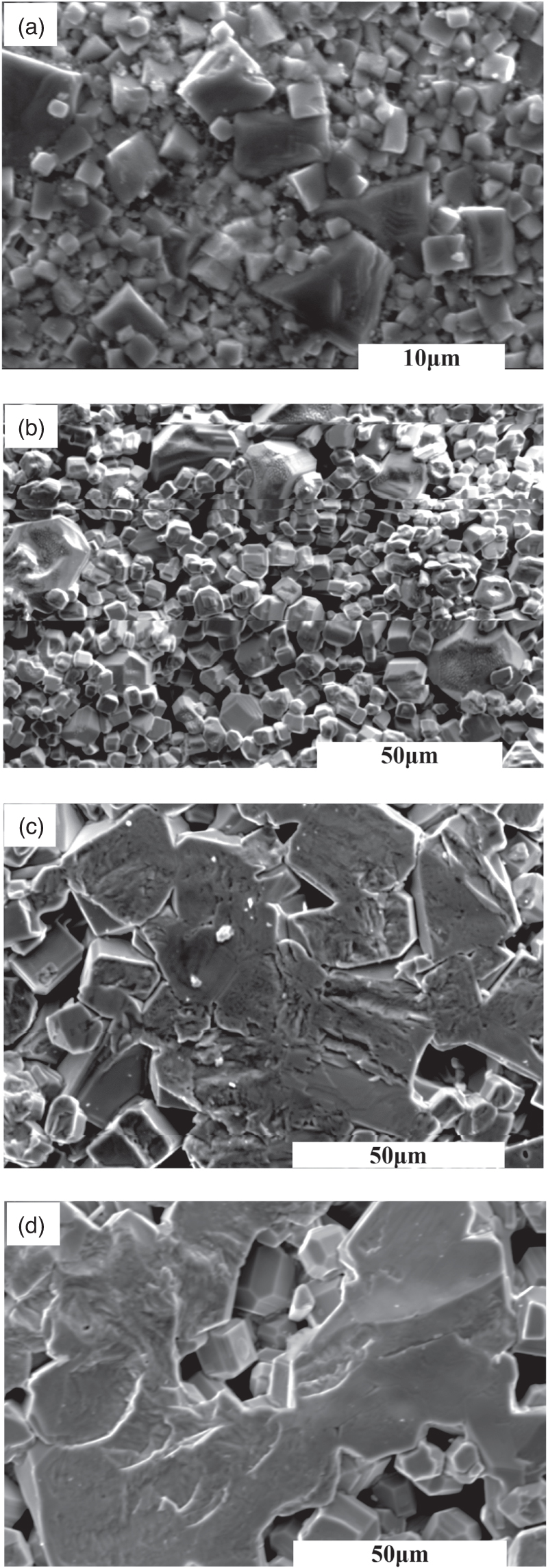 Fabrication of textured (K,Na)NbO3-based ceramics at low sintering ...