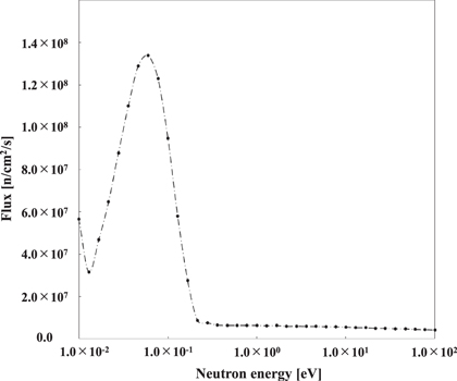 Measurements of γ-rays and neutrons in BNCT irradiation field using ...