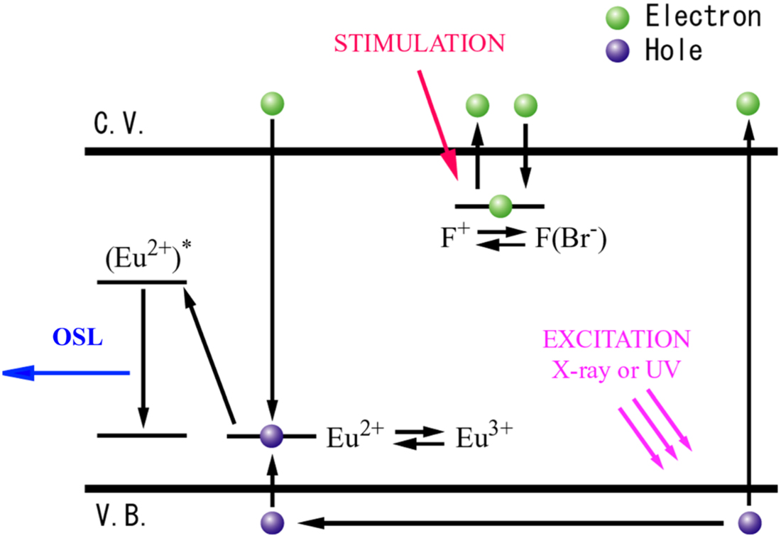 Optically stimulated luminescence dosimeters: principles, phosphors and ...