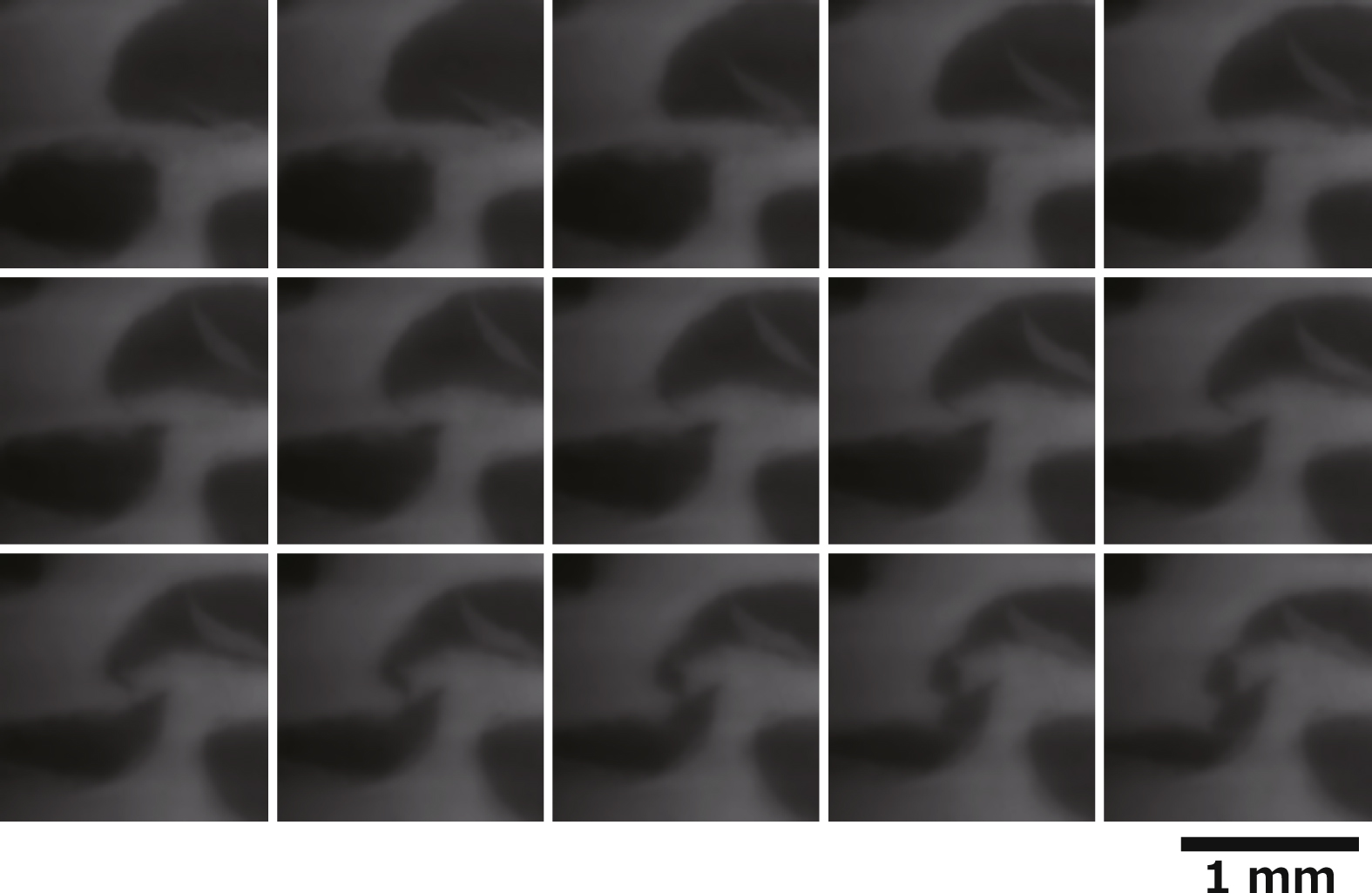 Real-time observation of compressive fracture of porous material by 10 ...