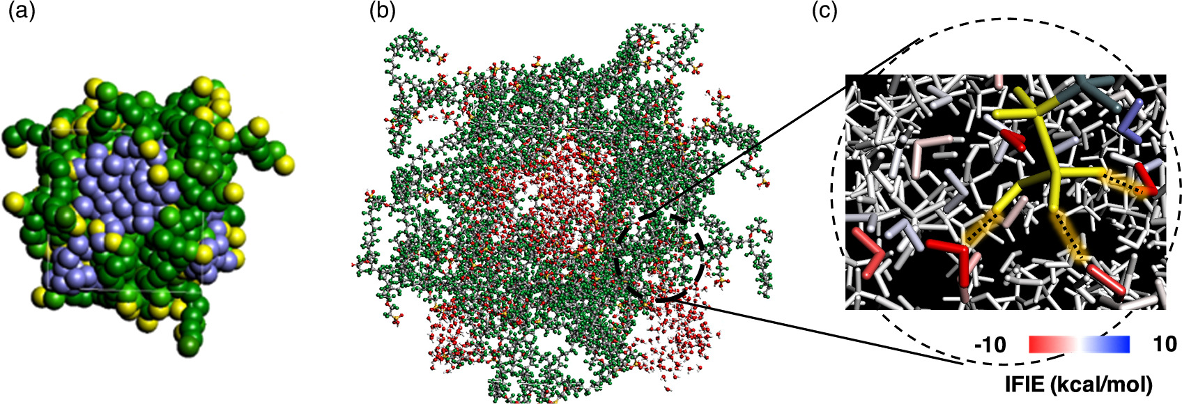Development of reverse mapping system bridging dissipative particle ...