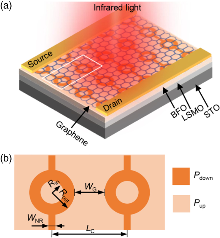 Tuning of graphene plasmons by ferroelectric superdomain for mid ...