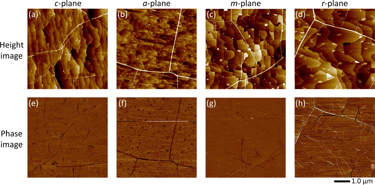 Influence of substrate sapphire orientation on direct CVD growth of ...