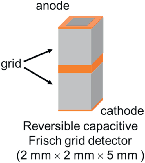Reversible capacitive Frisch grid TlBr detectors - IOPscience