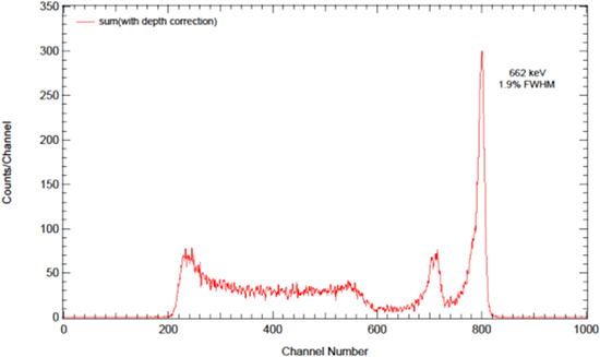 Reversible capacitive Frisch grid TlBr detectors - IOPscience