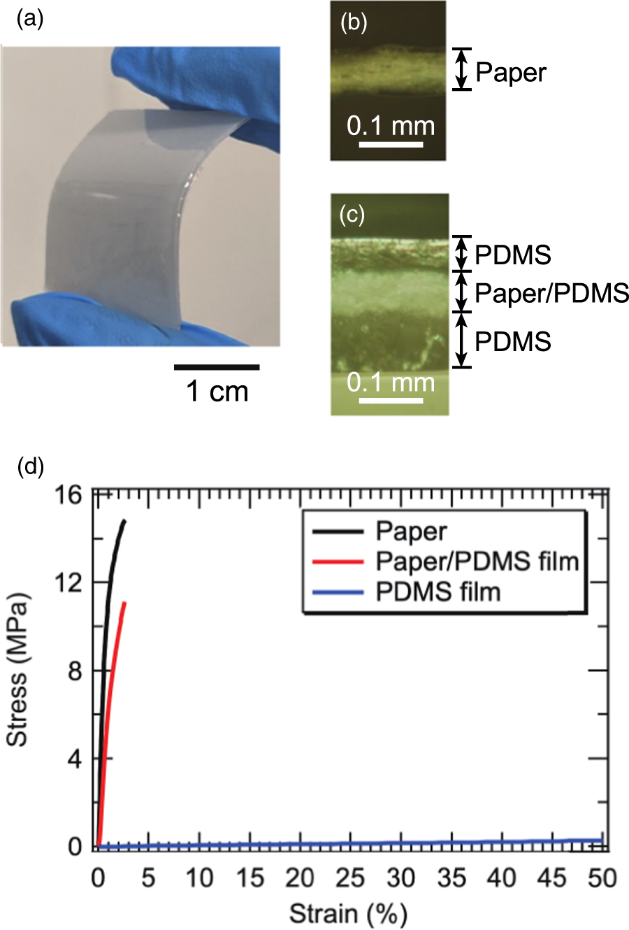 Mechanical robust paper-based triboelectric nanogenerator films ...
