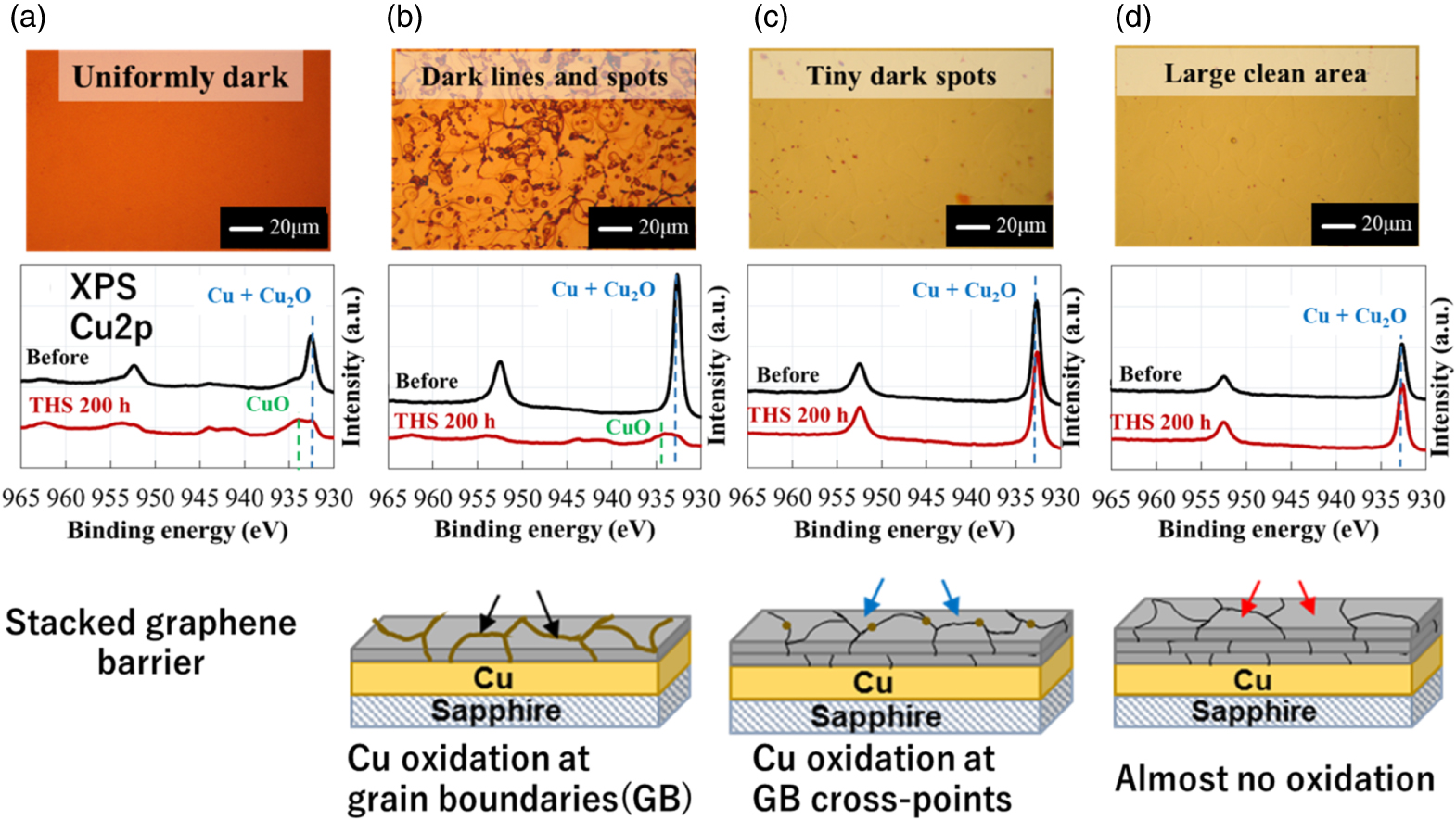 Advances in multilayer graphene processes for metallization and high ...