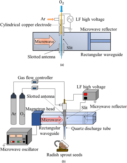 Effect of LF-microwave hybrid plasma treatment on radish seed ...