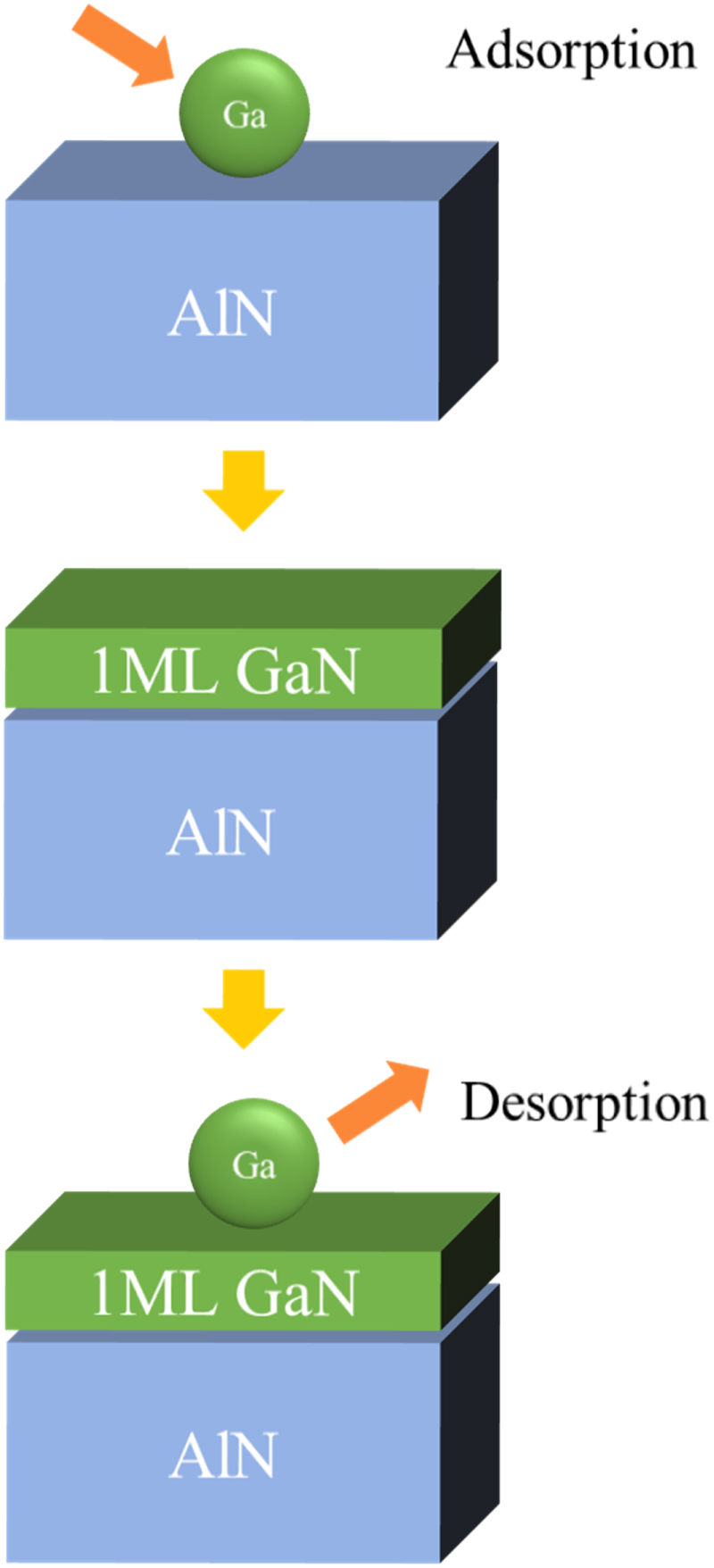 First-principles study for self-limiting growth of GaN layers on AlN ...