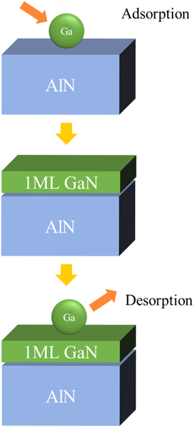 First-principles study for self-limiting growth of GaN layers on AlN ...