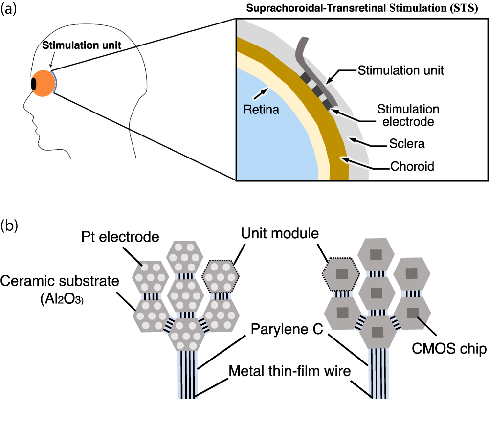 A flexible retinal device with CMOS smart electrodes fabricated on parylene C thin-film and ...