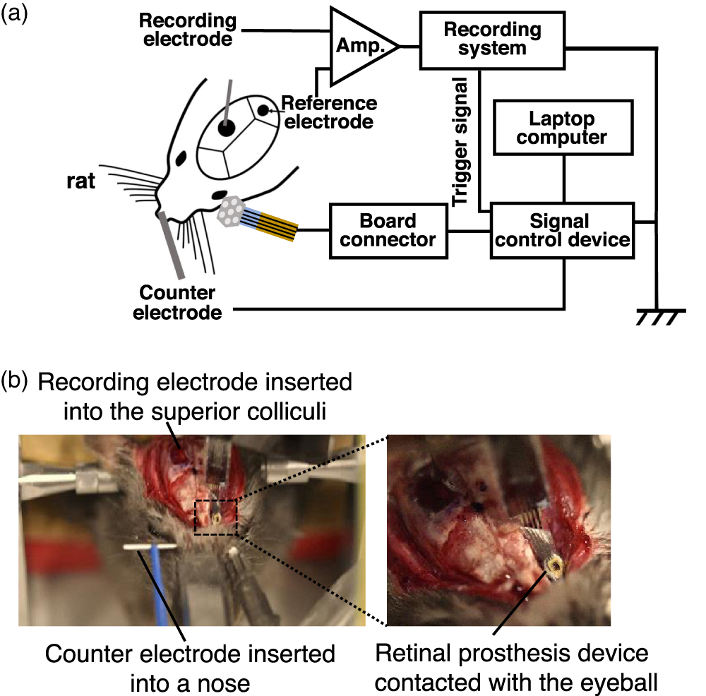 A flexible retinal device with CMOS smart electrodes fabricated on ...
