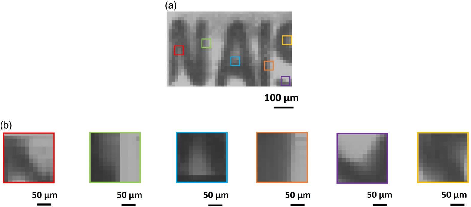 A dual-mode miniature wireless system for lensless CMOS-based ...