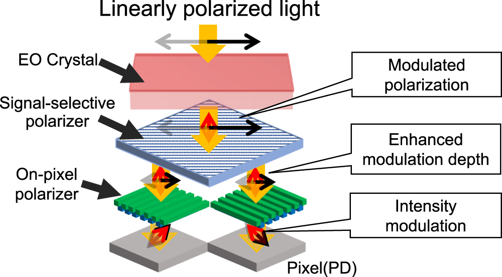 Improvement of on-pixel polarizer with 0.35 μm CMOS process for electro ...