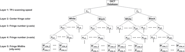 Development of a real-time temperature measurement technique for SiC ...