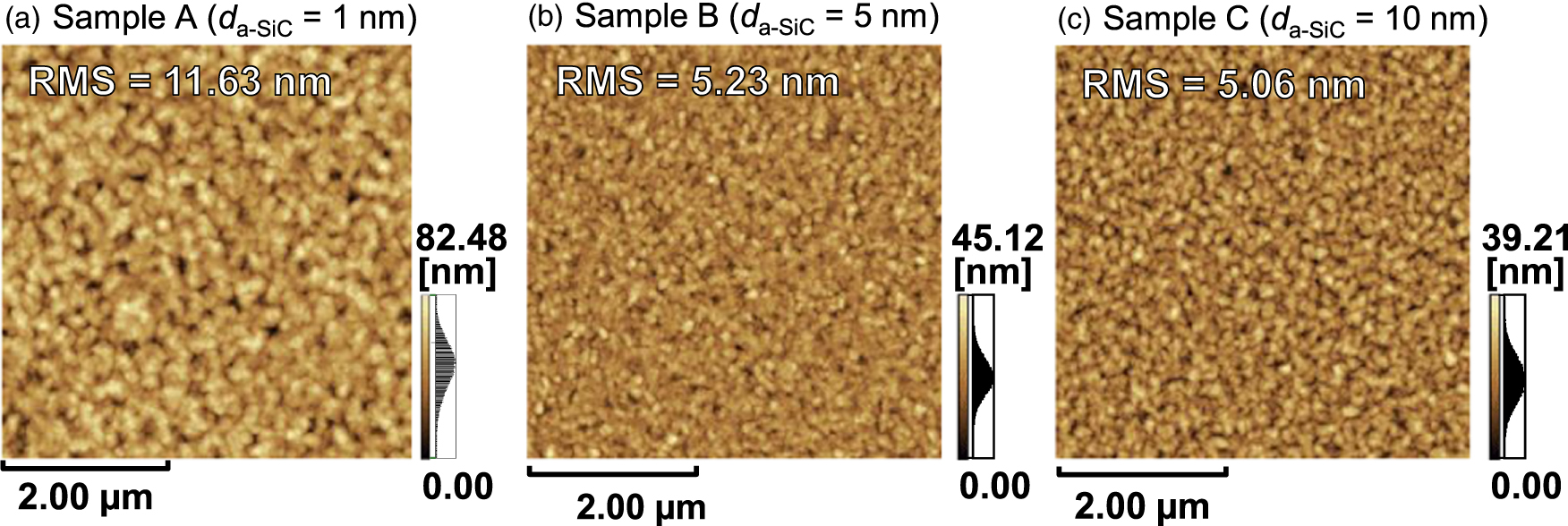 Structural design of BaSi2 solar cells with a-SiC electron-selective ...