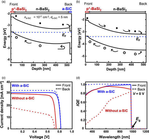 Structural design of BaSi2 solar cells with a-SiC electron-selective ...