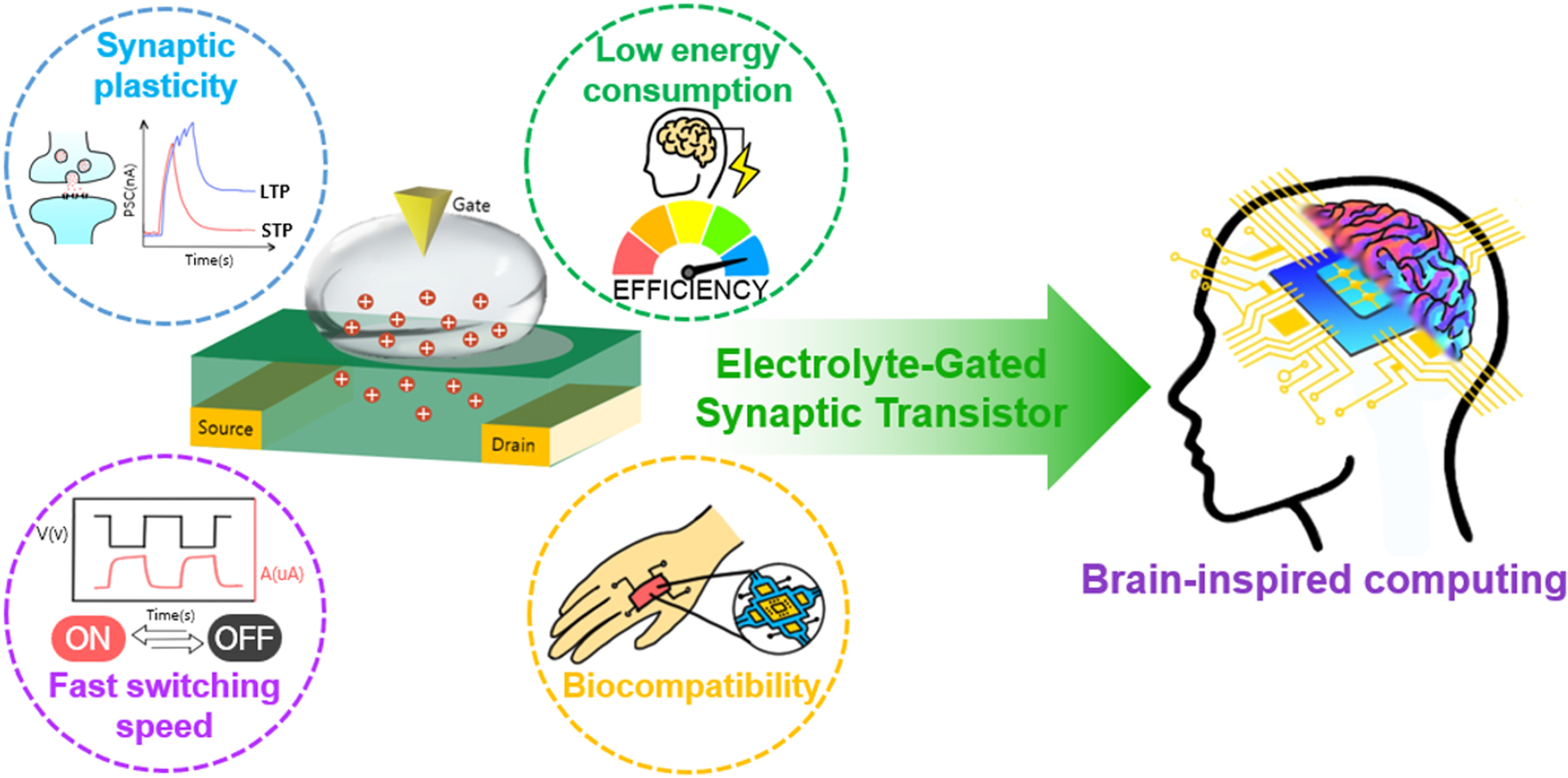 Electrolyte-gated synaptic transistors for brain-inspired computing - IOPscience