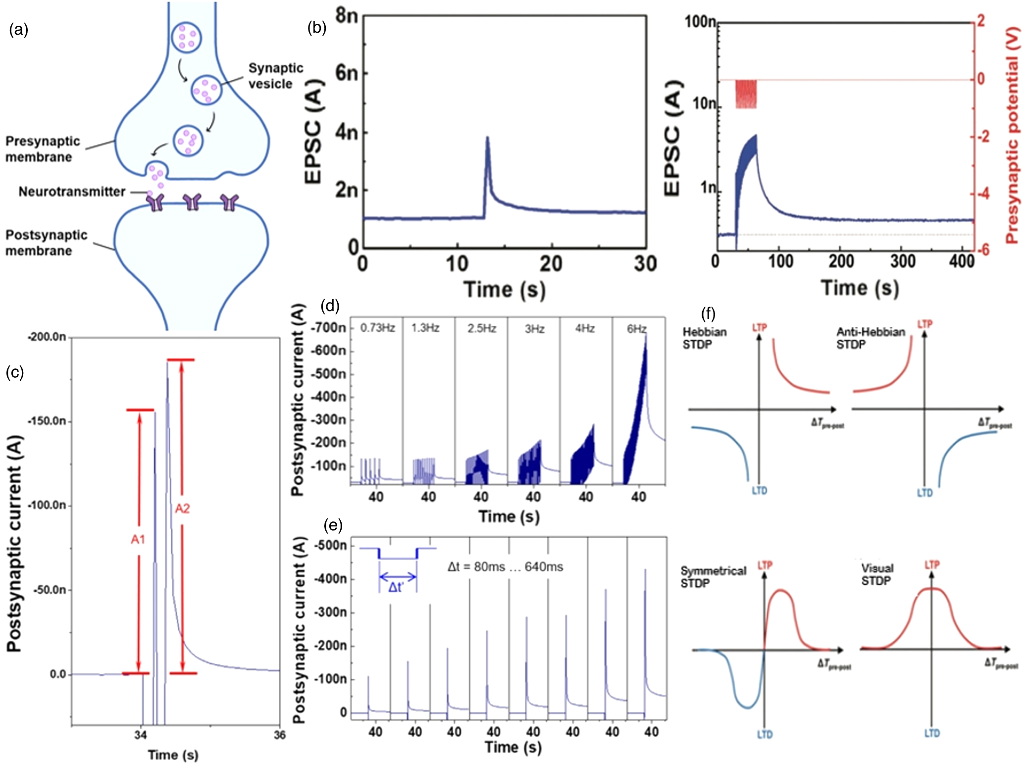 Electrolyte-gated synaptic transistors for brain-inspired computing ...