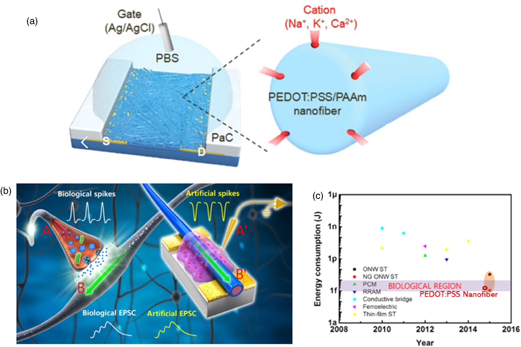 Electrolyte-gated synaptic transistors for brain-inspired computing ...