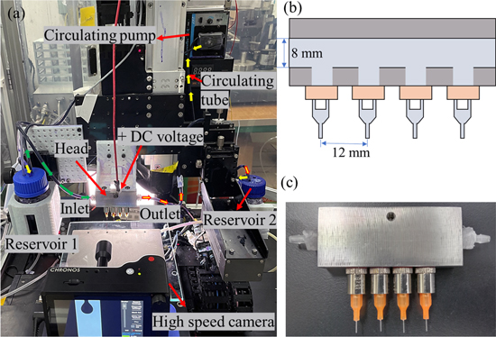 Continuous ink supply and circulation system for a multi-nozzle ...