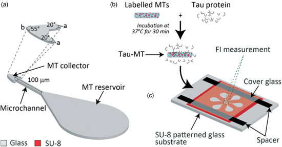 Integration of nanometric motor proteins towards a macroscopic power ...