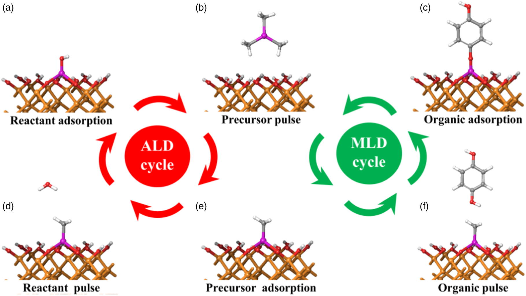 Review of molecular layer deposition process and application to area ...