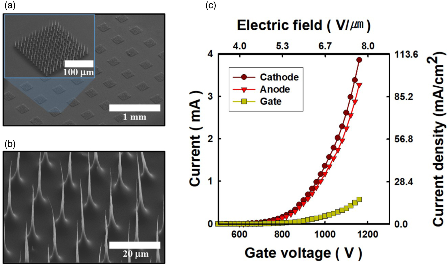 Enhanced extreme ultraviolet lighting using carbon nanotube-based cold cathode electron beam ...