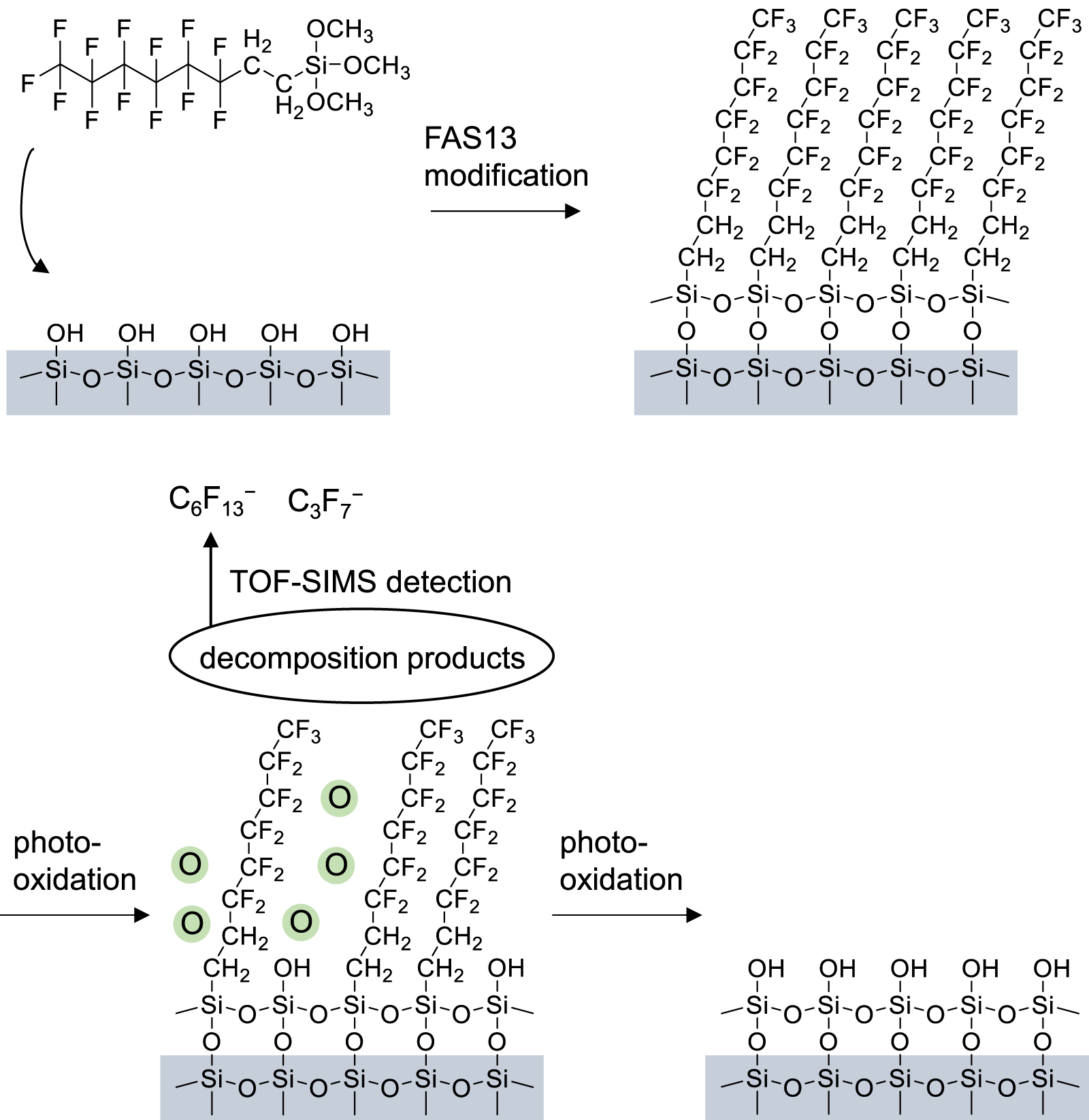 Photo-oxidative degradation of fluorinated chemisorbed monolayers ...