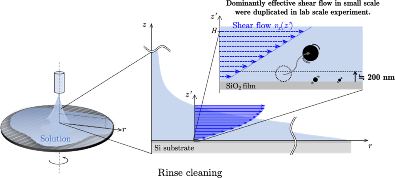 Direct observation of removal of SiO2 nano-particles from silica ...