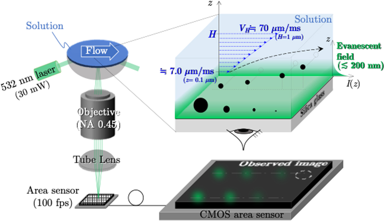 Direct observation of removal of SiO2 nano-particles from silica ...