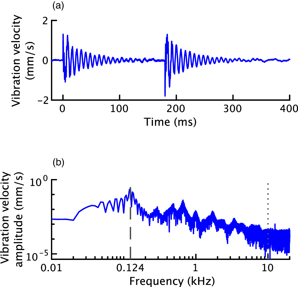 Feasibility of nondestructive testing using transient vibrations ...