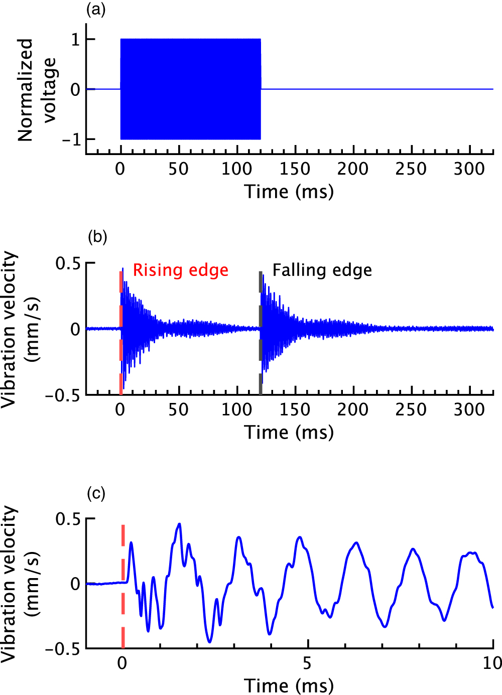 Feasibility of nondestructive testing using transient vibrations ...